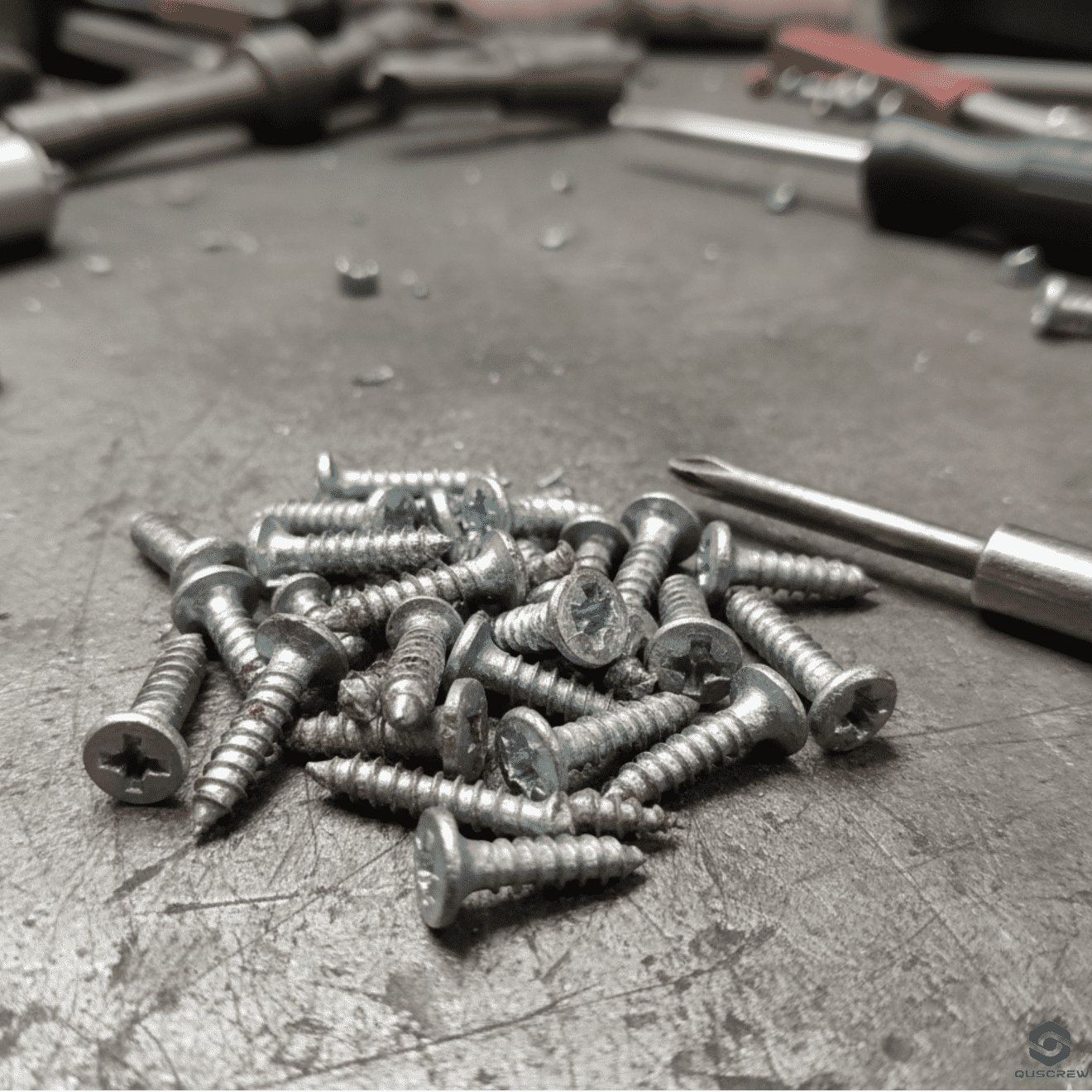 Screw Selection and Installation Guide: How to Choose, Use, and ...